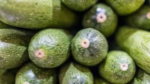 What Is Mexican Squash? 3 Favorite and Amazing Varieties – JustMexicanFood