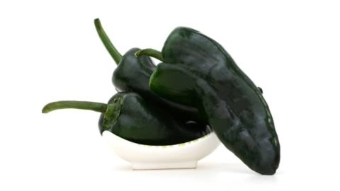 Pasilla Vs Poblano Peppers- 3 Clear Differences And Amazing ...