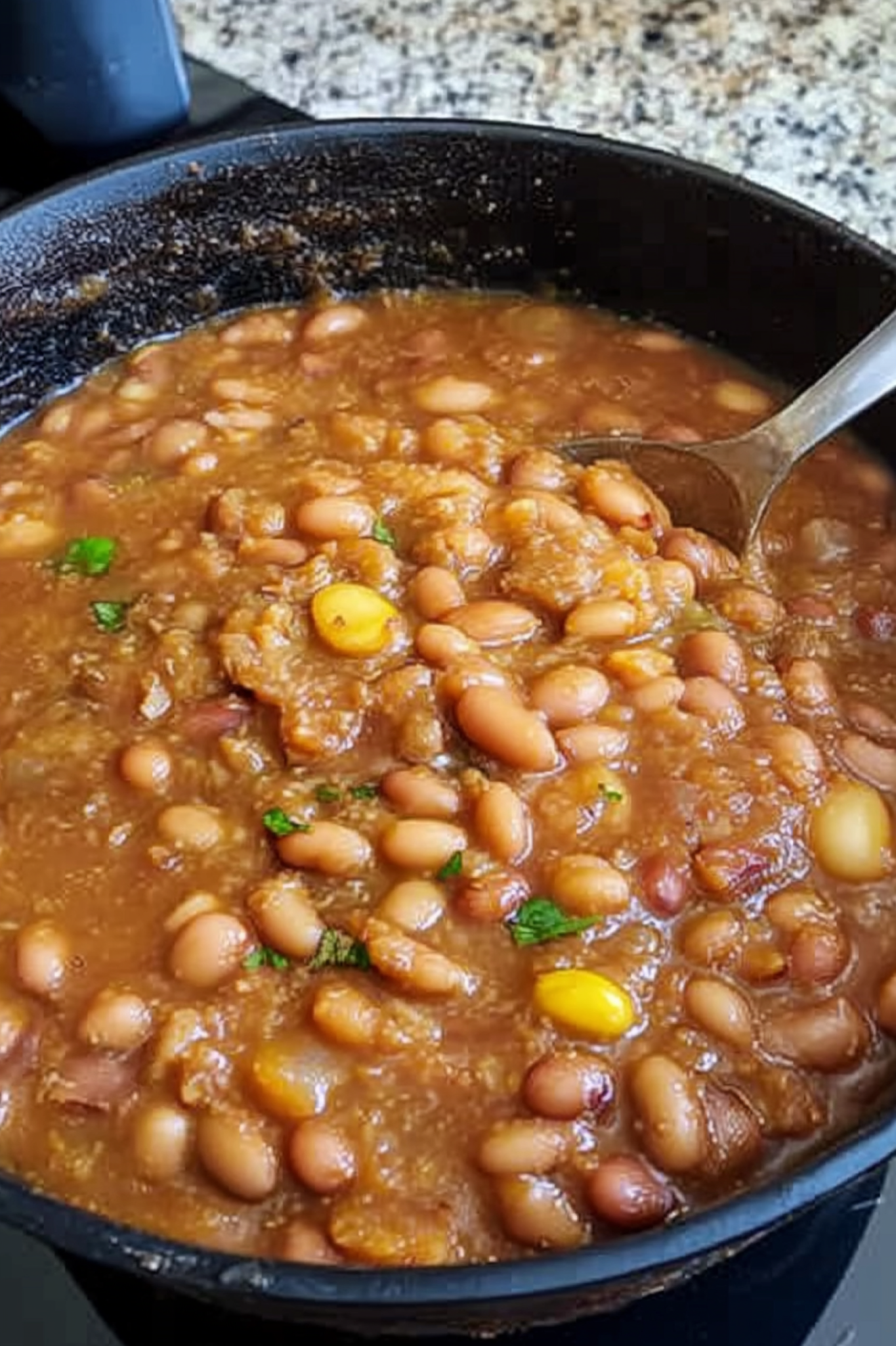 Mexican Refried Beans – JustMexicanFood