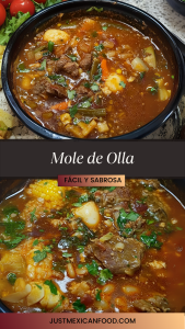 Mole de Olla – JustMexicanFood